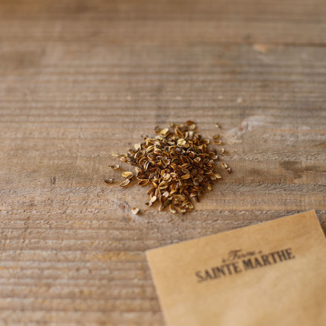 ACHE DES MONTAGNES ou LIVÈCHE - Marthe 🌱 Livraison Gratuite