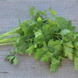 🌿 Semis du persil : conseils pour une germination réussie