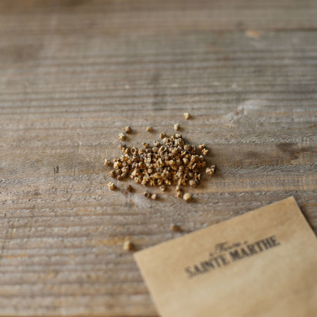 Betterave Blanche - Ferme Ste Marthe 🌱 Livraison Gratuite